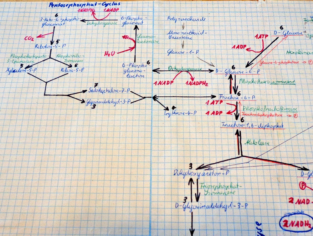 Februar | 2013 | Neubecks Seiten